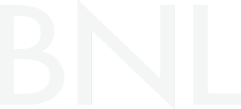 BNL Consulting
